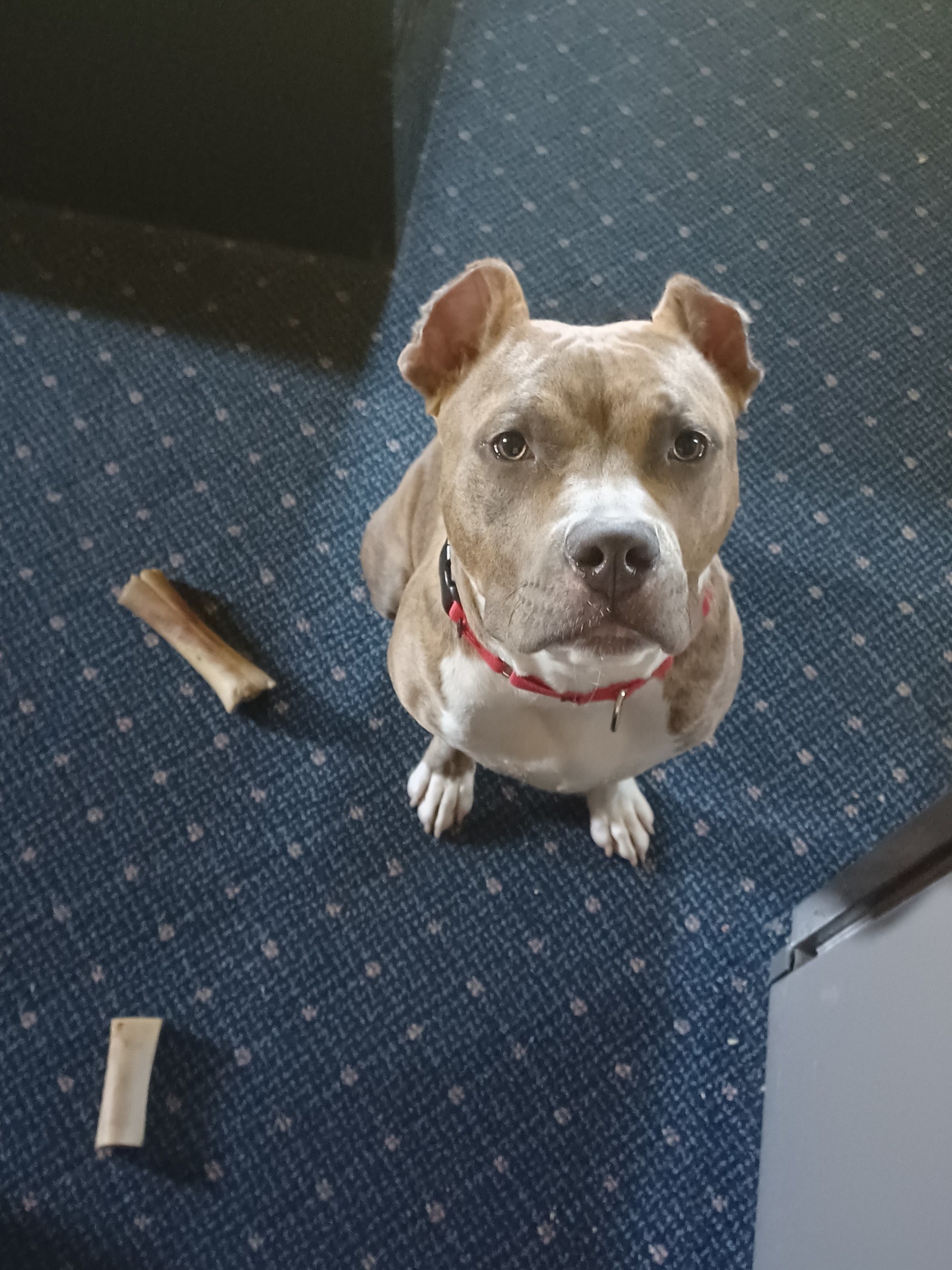 For them to be mangled to that extent means he's - #243723571 added by ...