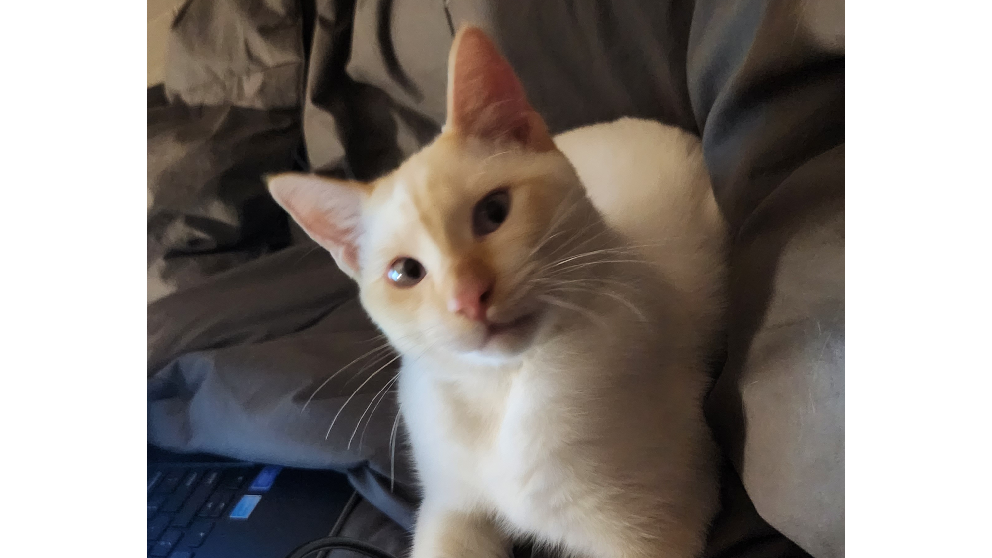 For them to be mangled to that extent means he's - #243723571 added by ...