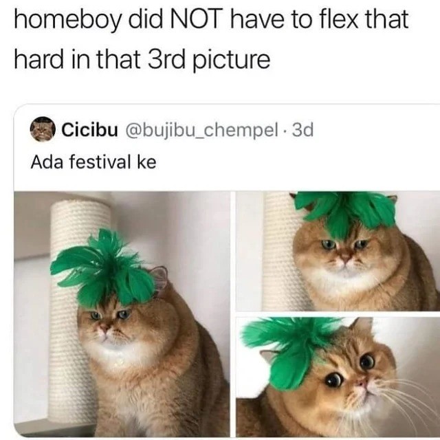 2424