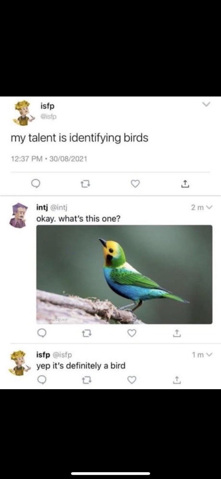 Birb