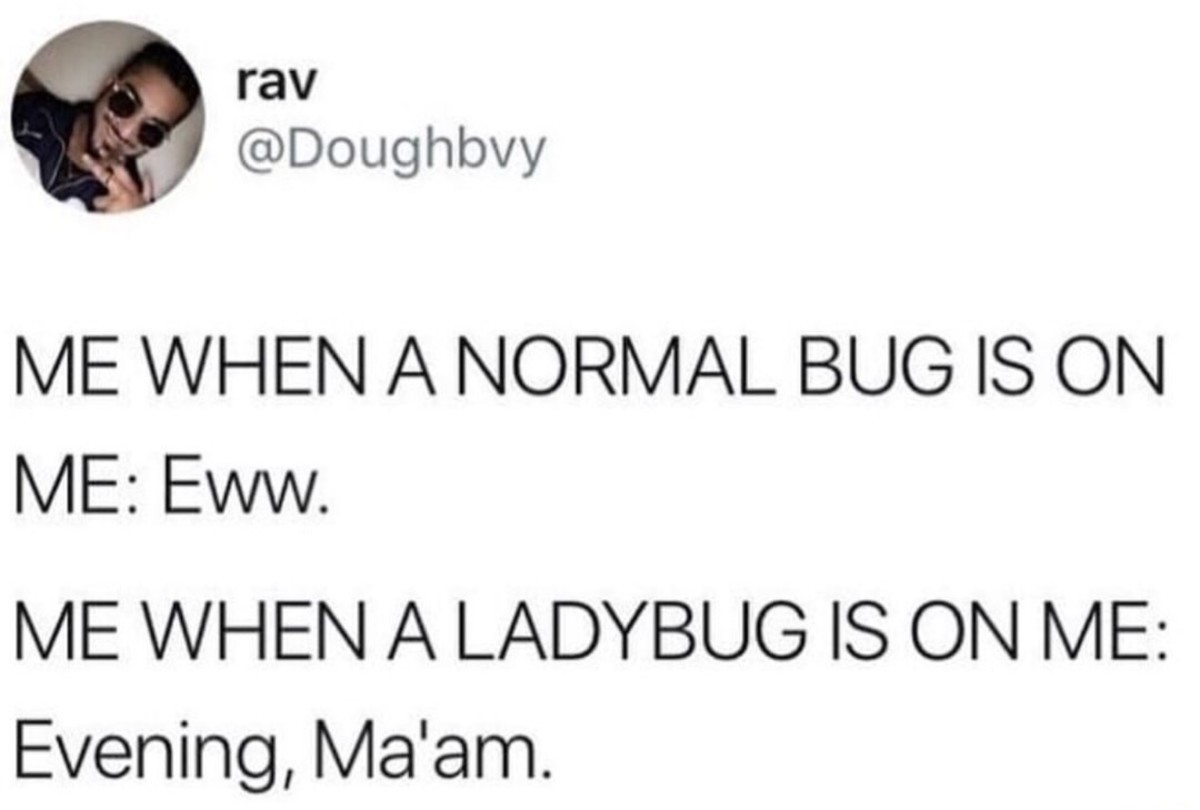 Bugs