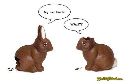 Chocolate Bunnies