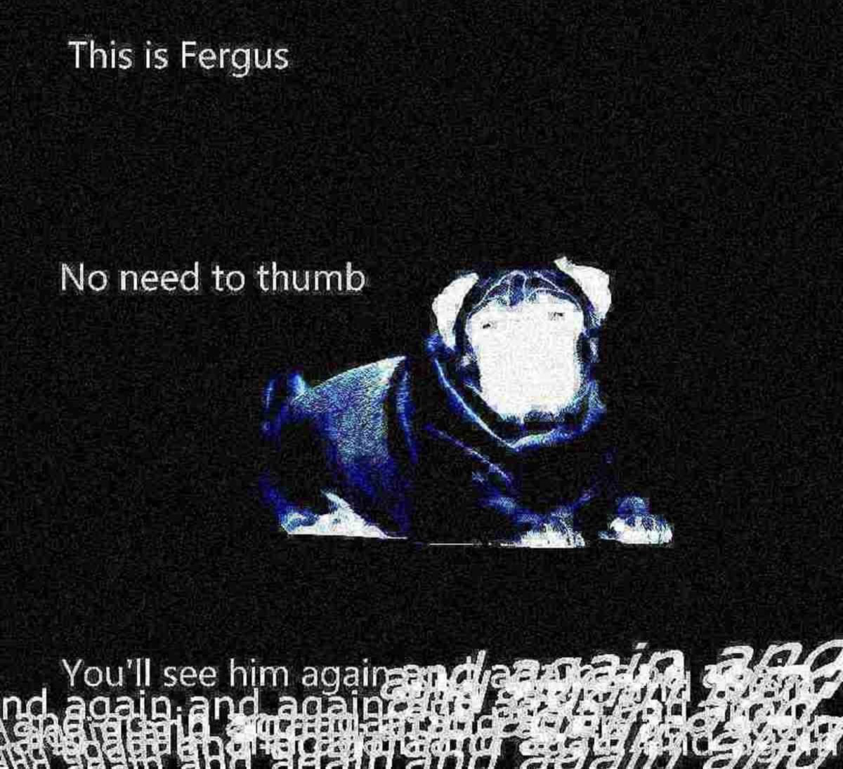 Fergus