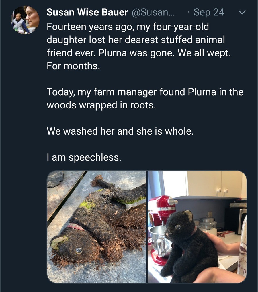 WholesomeMemes: WholesomeMemes: Memes that make you feel good! We all ...