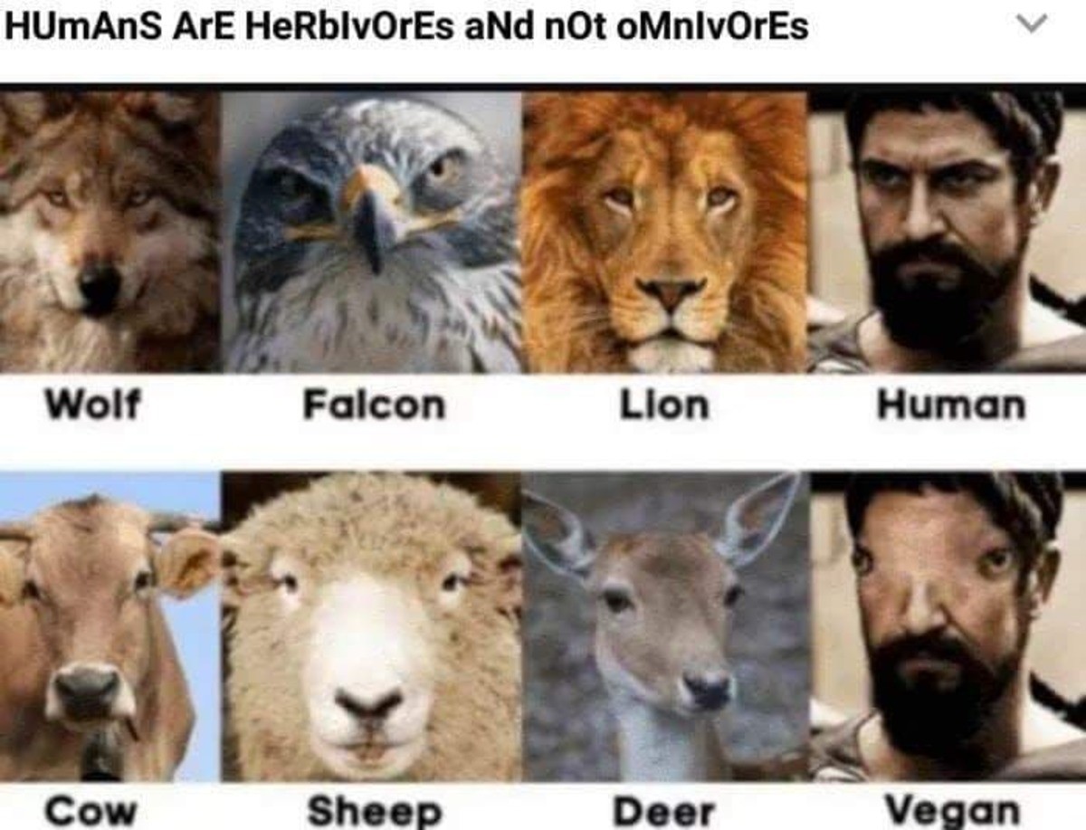 Omnivores