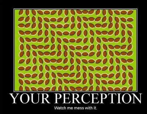 Perception