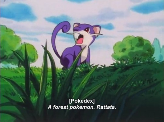 rattata