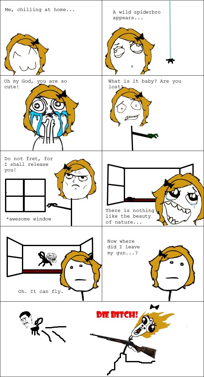 Spiders