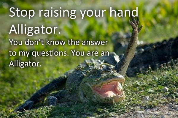 stop raising your hand alligator